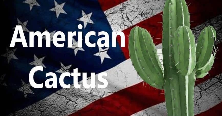 American Cactus LLC logo